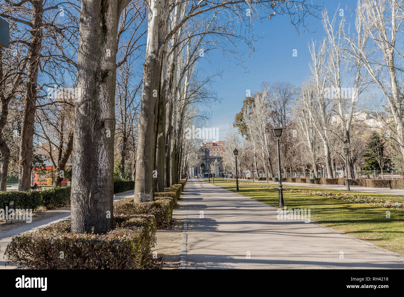 Beautiful view of sidewalks between trees, shrubs and green grass, some ...