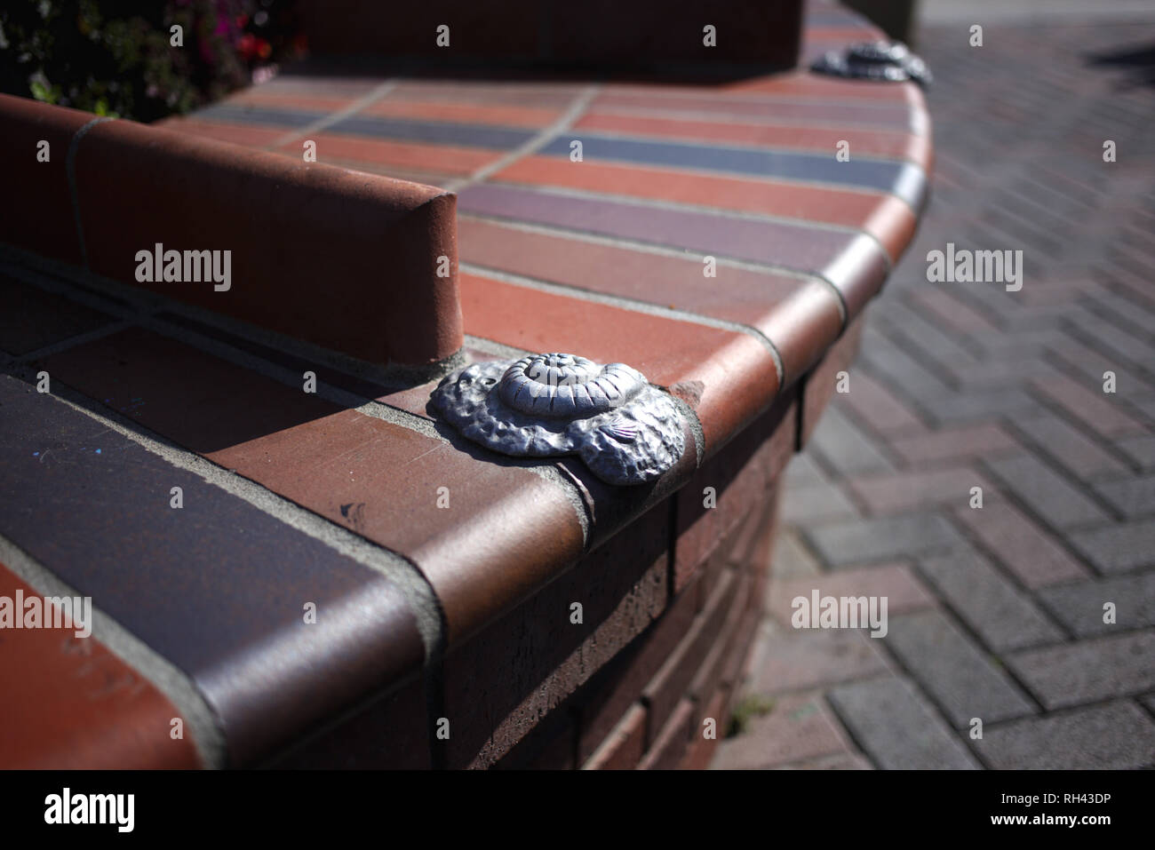 Stopping with beauty - A skate stop on a brick ledge. Stops ...