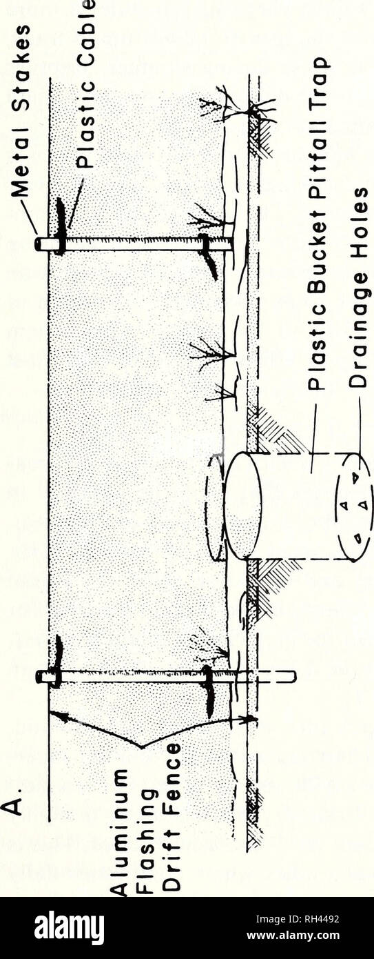 Pitfall traps hi-res stock photography and images - Alamy