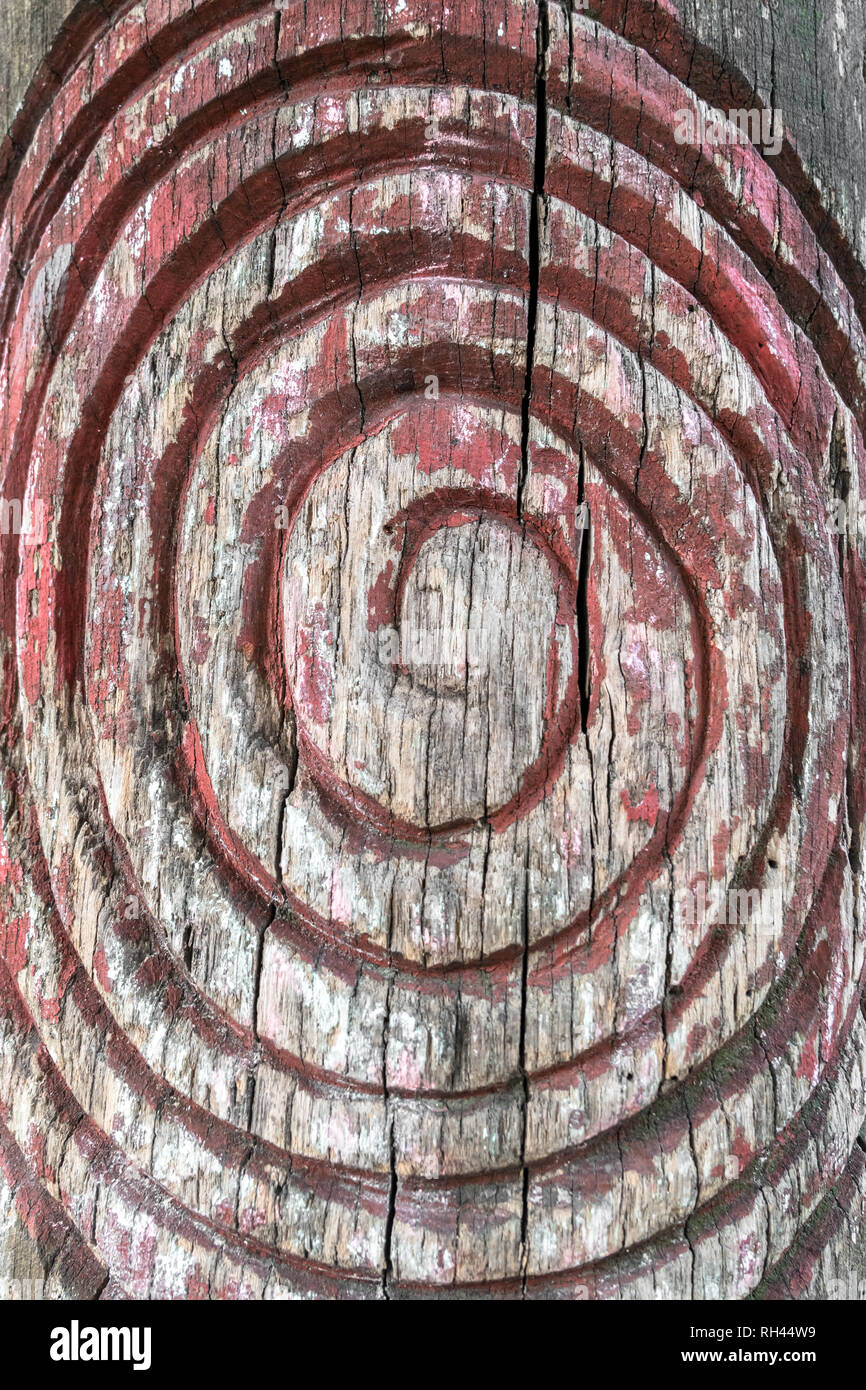 Spiral symbol engraved on the bark of a tree. Ideal for concepts ...