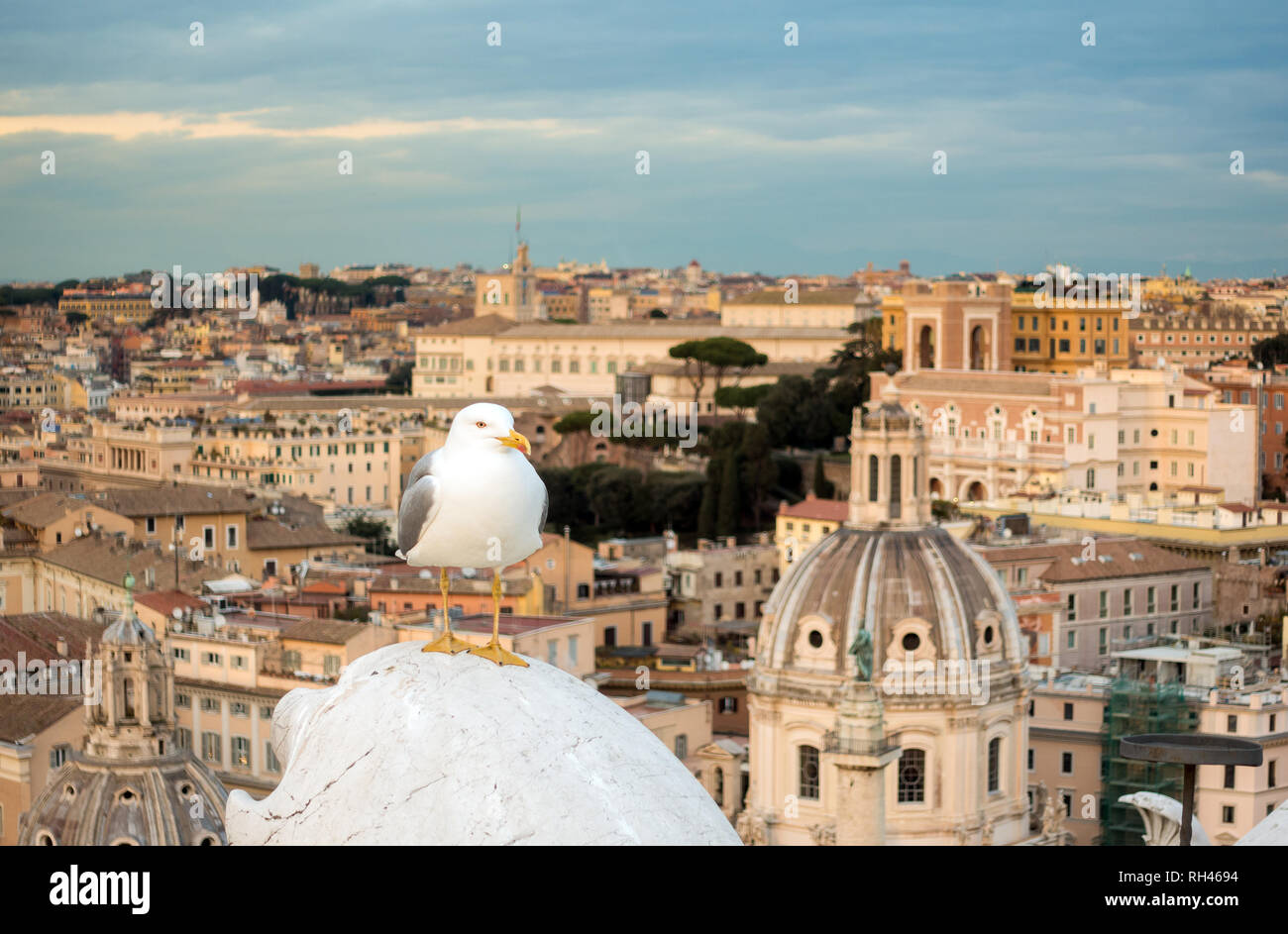 Traffic roma hi-res stock photography and images - Alamy