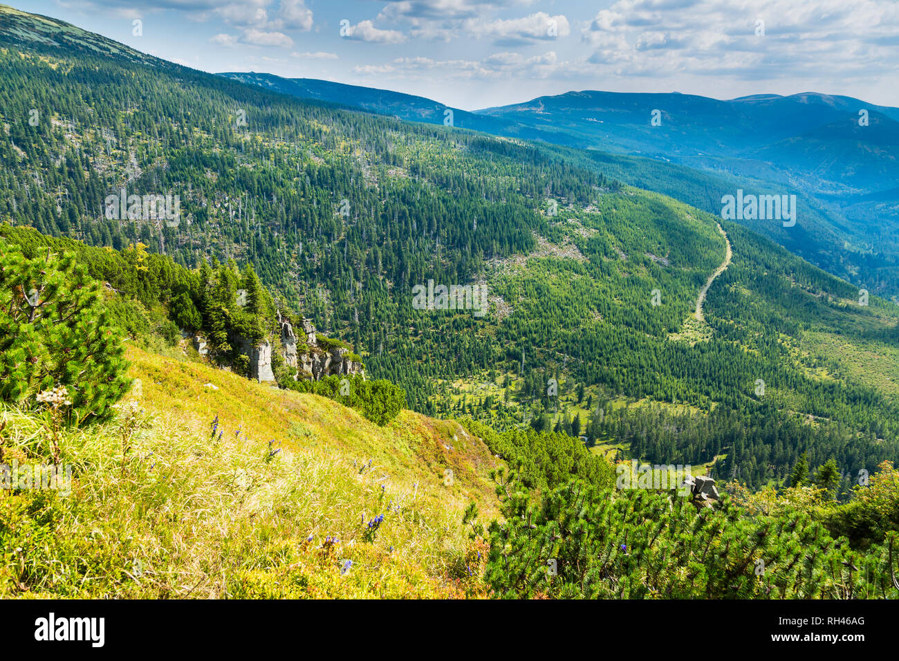 Scenic sight of czech giant mountains valley and spruce forest at ...