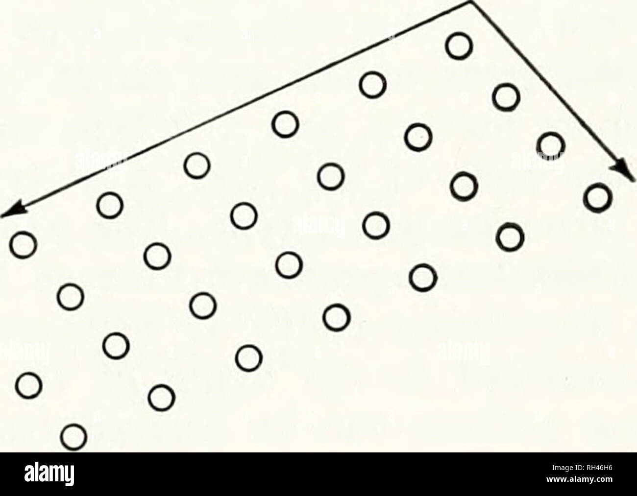 Polyphyodont hi-res stock photography and images - Alamy