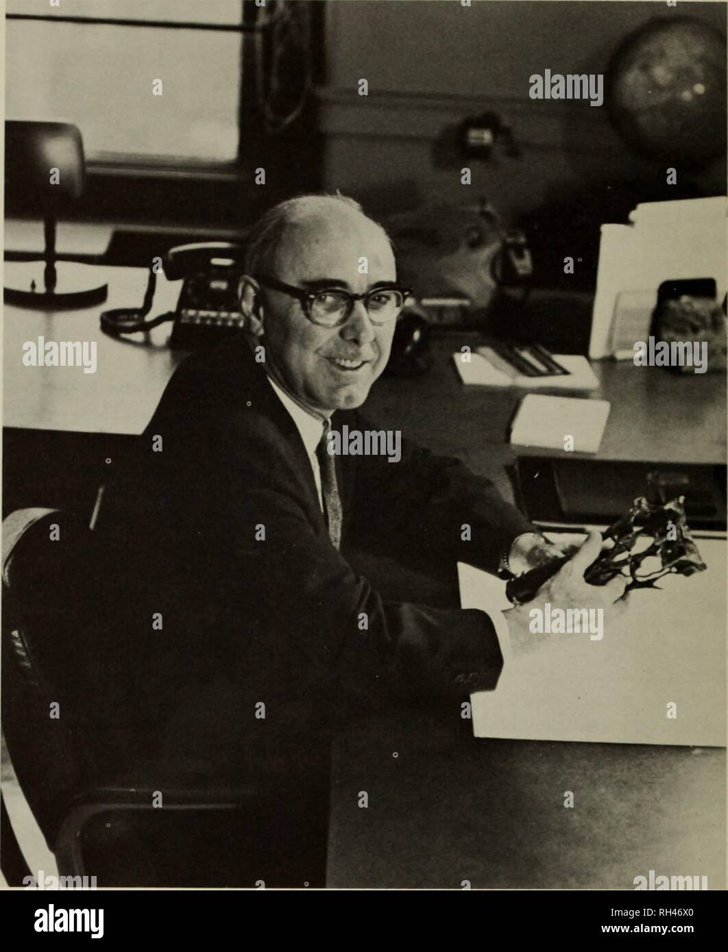 . A brief expedition into science at the American Museum of Natural ...