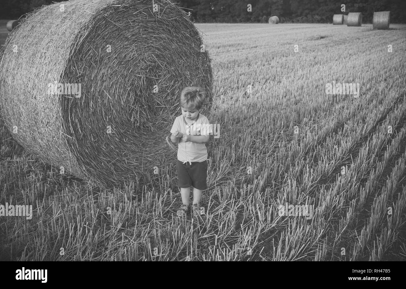 Stack on hay Black and White Stock Photos & Images - Alamy