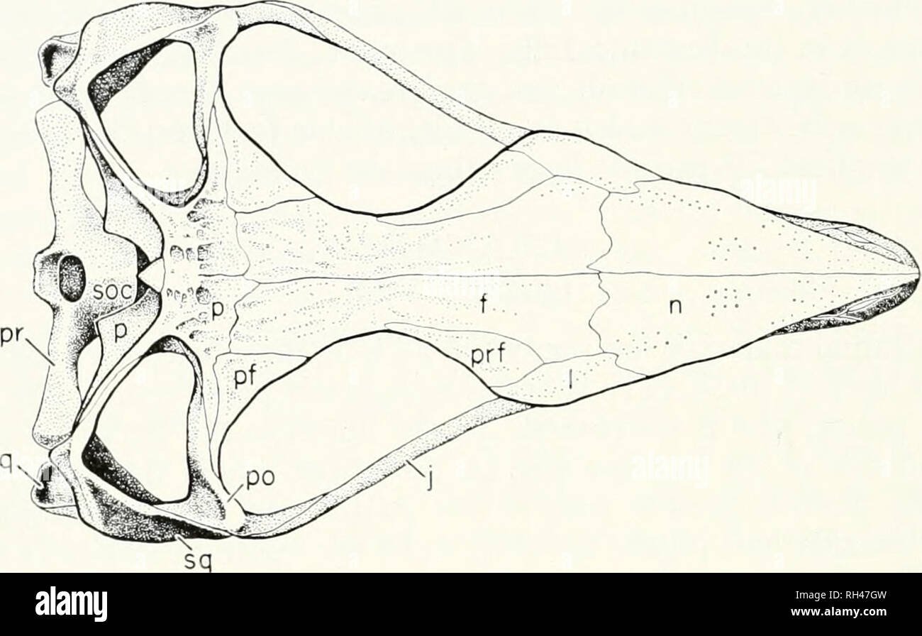 Popr hi-res stock photography and images - Alamy