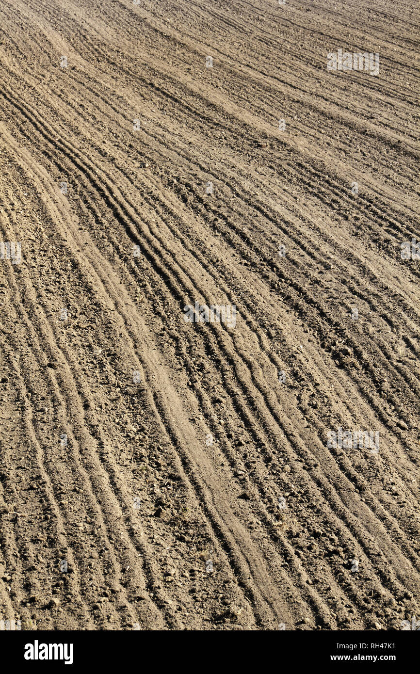 Furrows on a freshly ploughed field in spring Stock Photo - Alamy