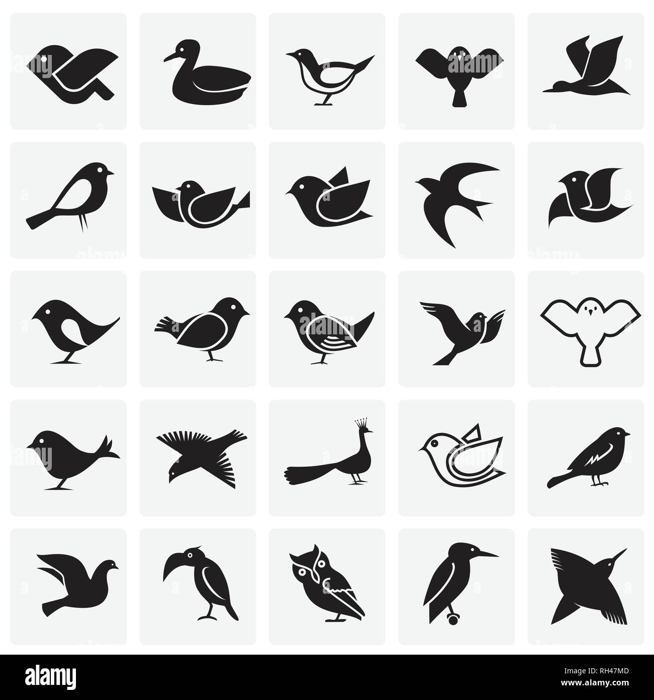 Flying kiwi Stock Vector Images - Alamy