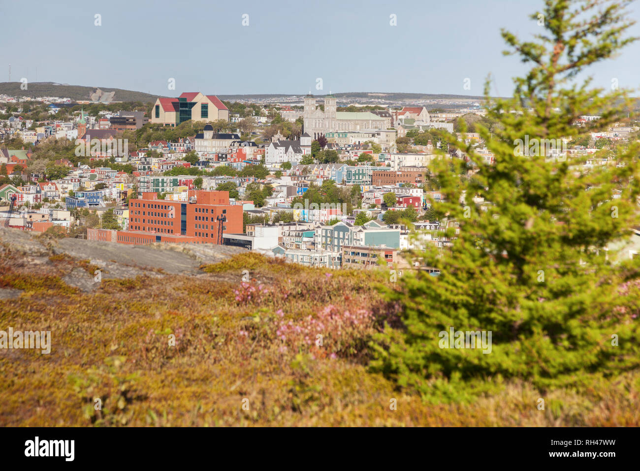 Panorama of St. John's, Newfoundland. St. John's, Newfoundland and ...