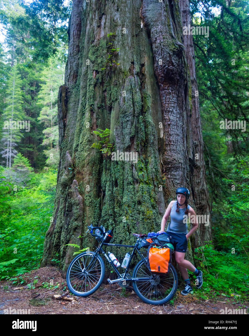 Trans america cycle hi-res stock photography and images - Alamy