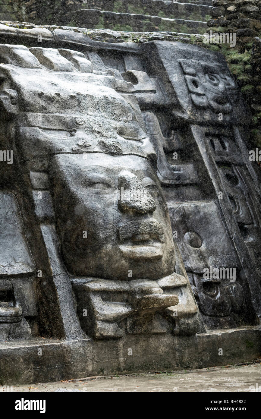 One of the Olmec style stone faces on the Lamanai Mayan temple in the ...