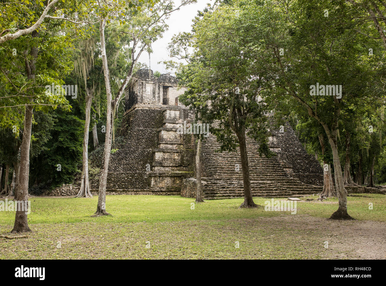 Mayan temple in the rain forest of the Yucatan Peninsula of Mexico ...