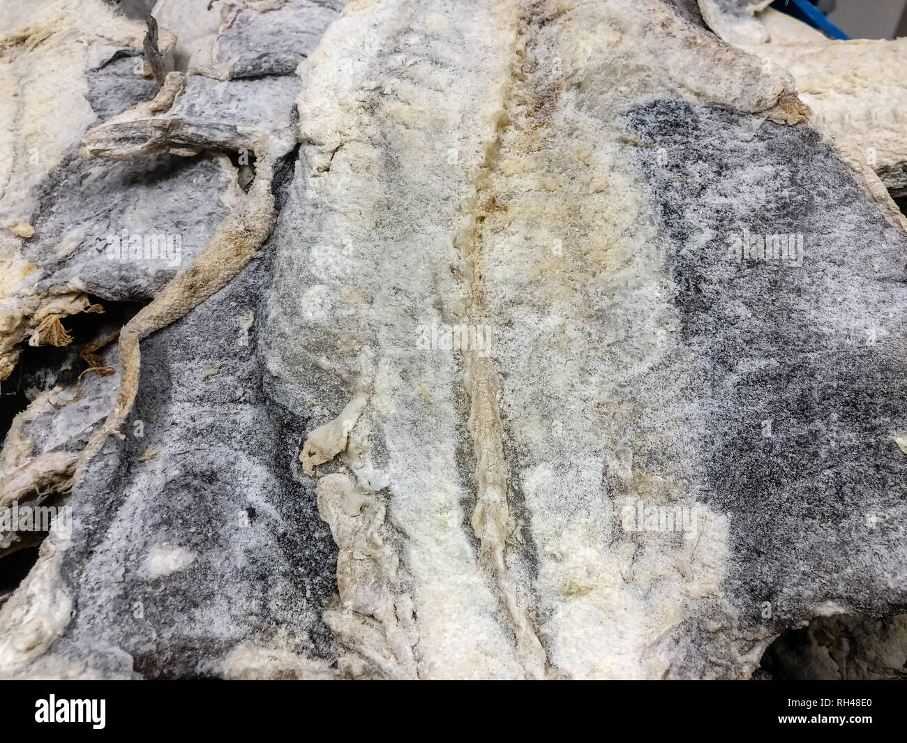 Dried cod in Fish shop, food and industry Stock Photo - Alamy