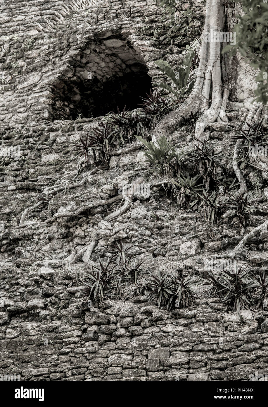 Entrance to aztec hi-res stock photography and images - Alamy