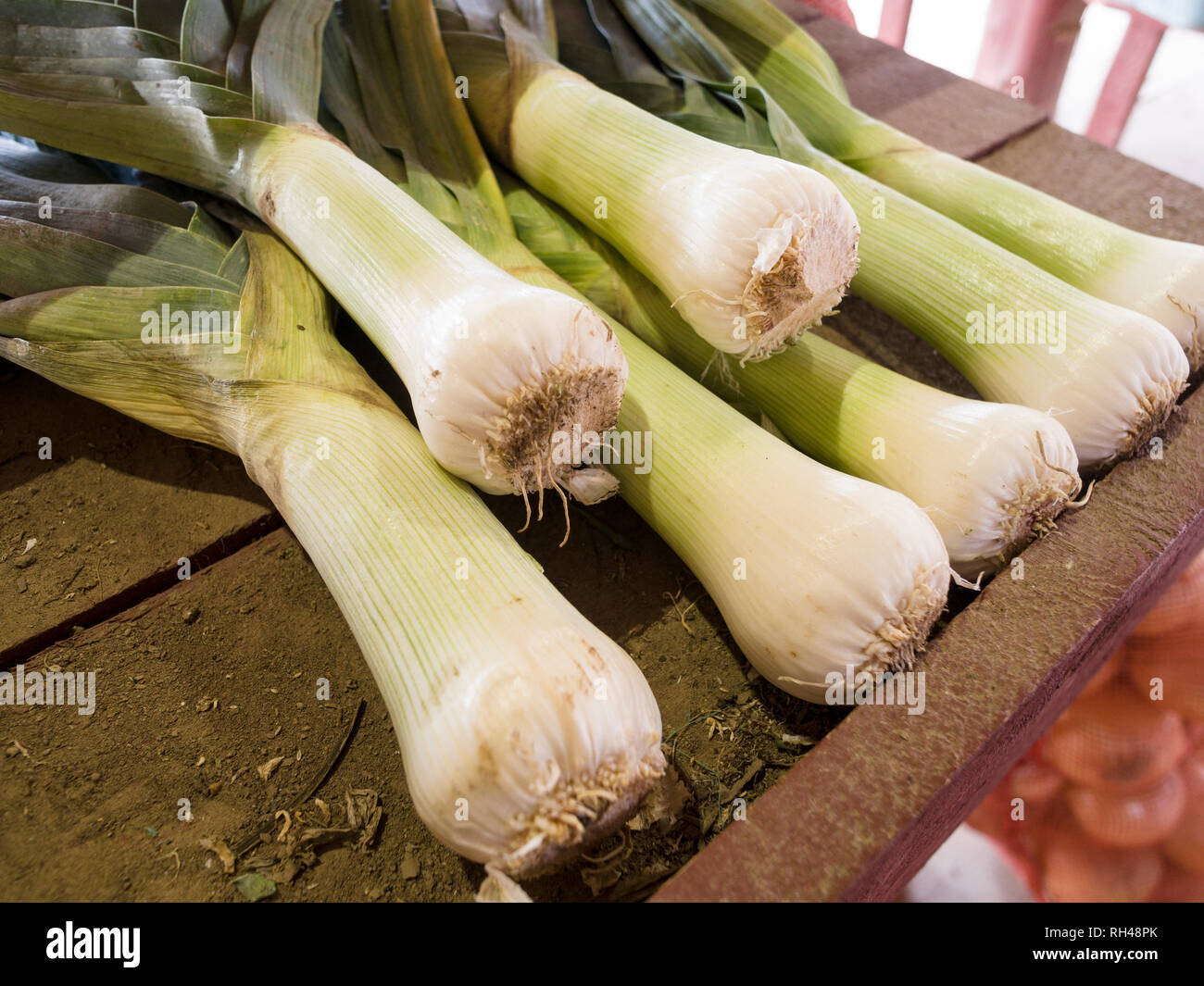 Leaks at a Farm market in the County: A shelf of seven large leeks for ...