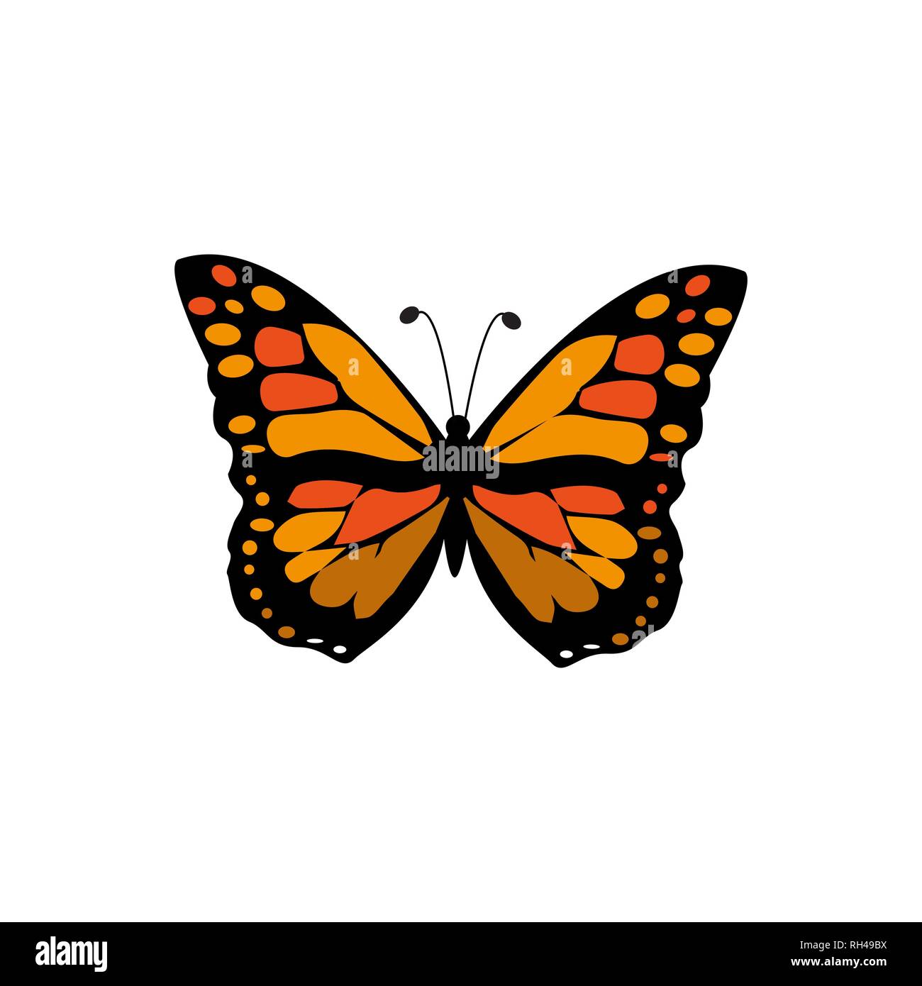 Vector Monarch Butterfly Illustration Isolated On White Background