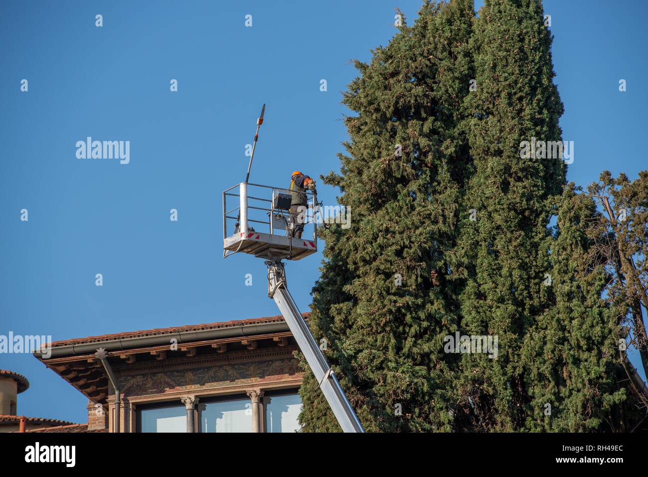 Saw cut injury hi-res stock photography and images - Alamy