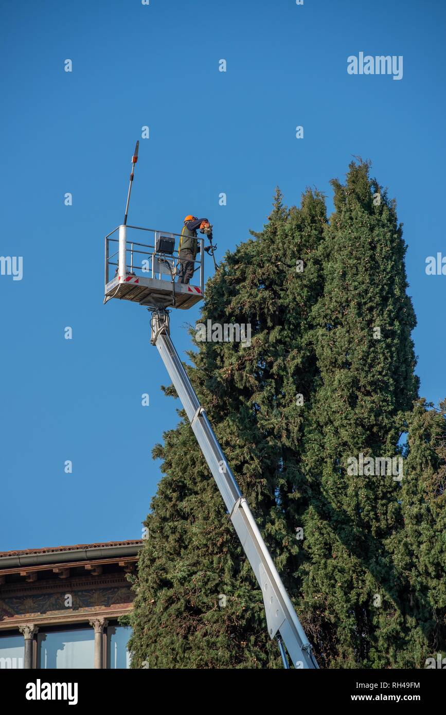 gardener pruning tree on mobile platform Stock Photo - Alamy