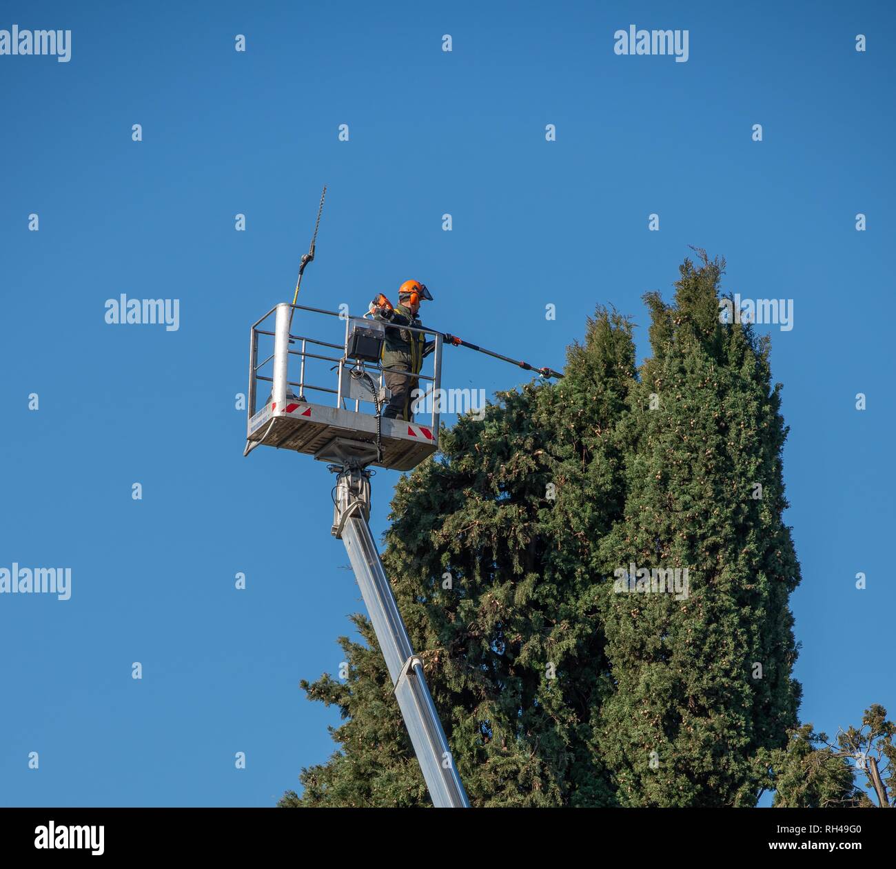 gardener pruning tree on mobile platform Stock Photo - Alamy