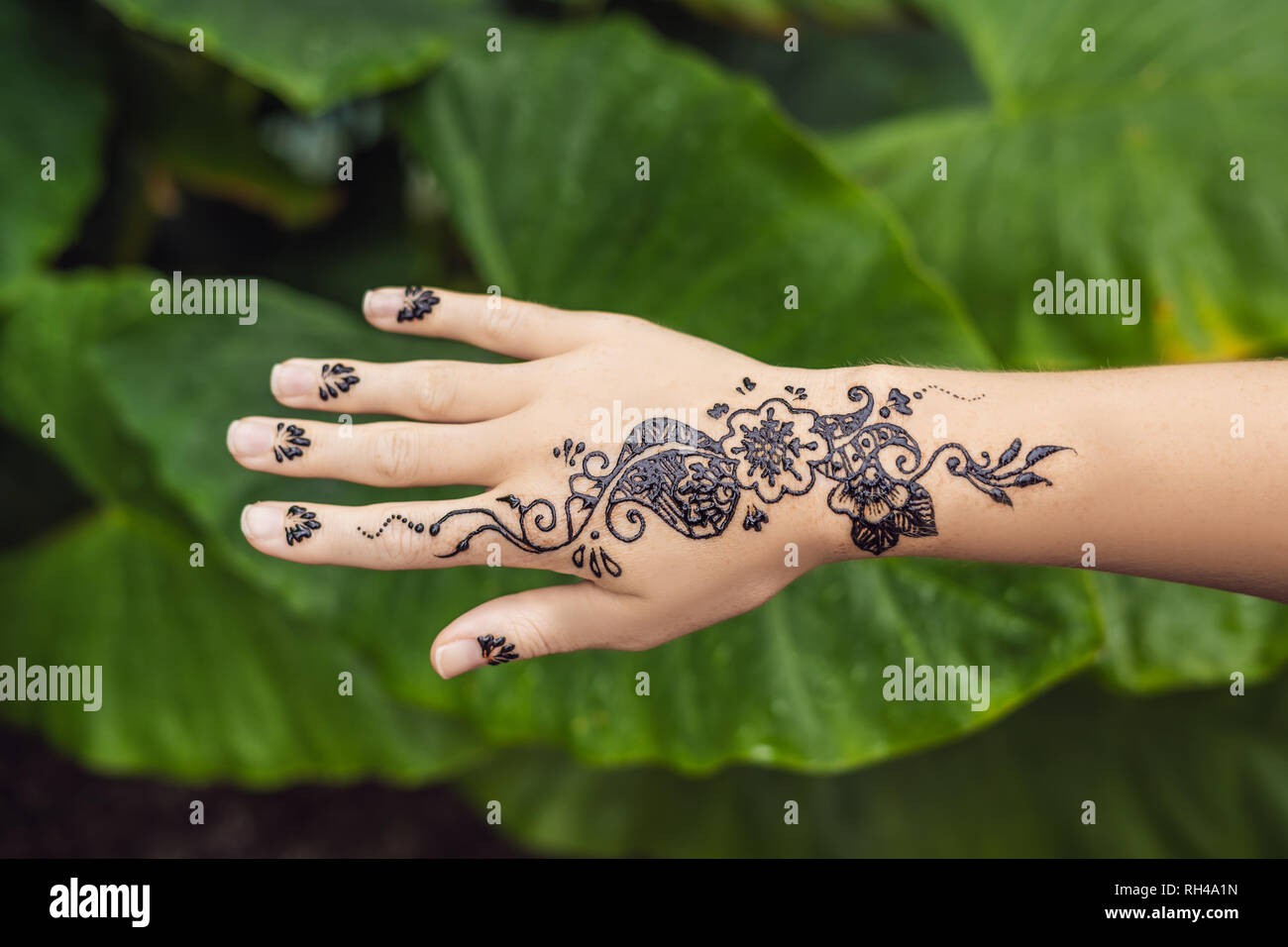 Indian mehandi hands hi-res stock photography and images - Alamy