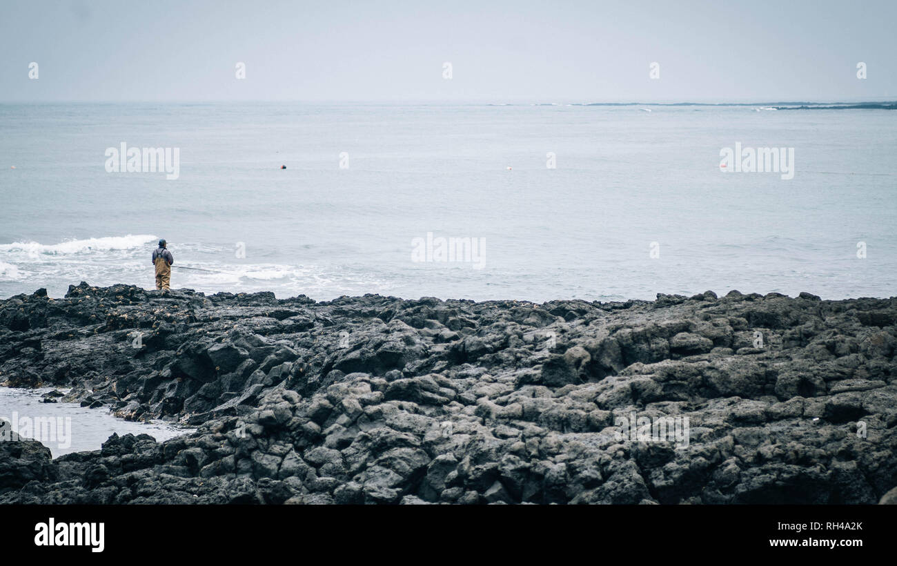 Volcanic rock beaches on the coast of Jeju Island, Seogwipo area Stock ...