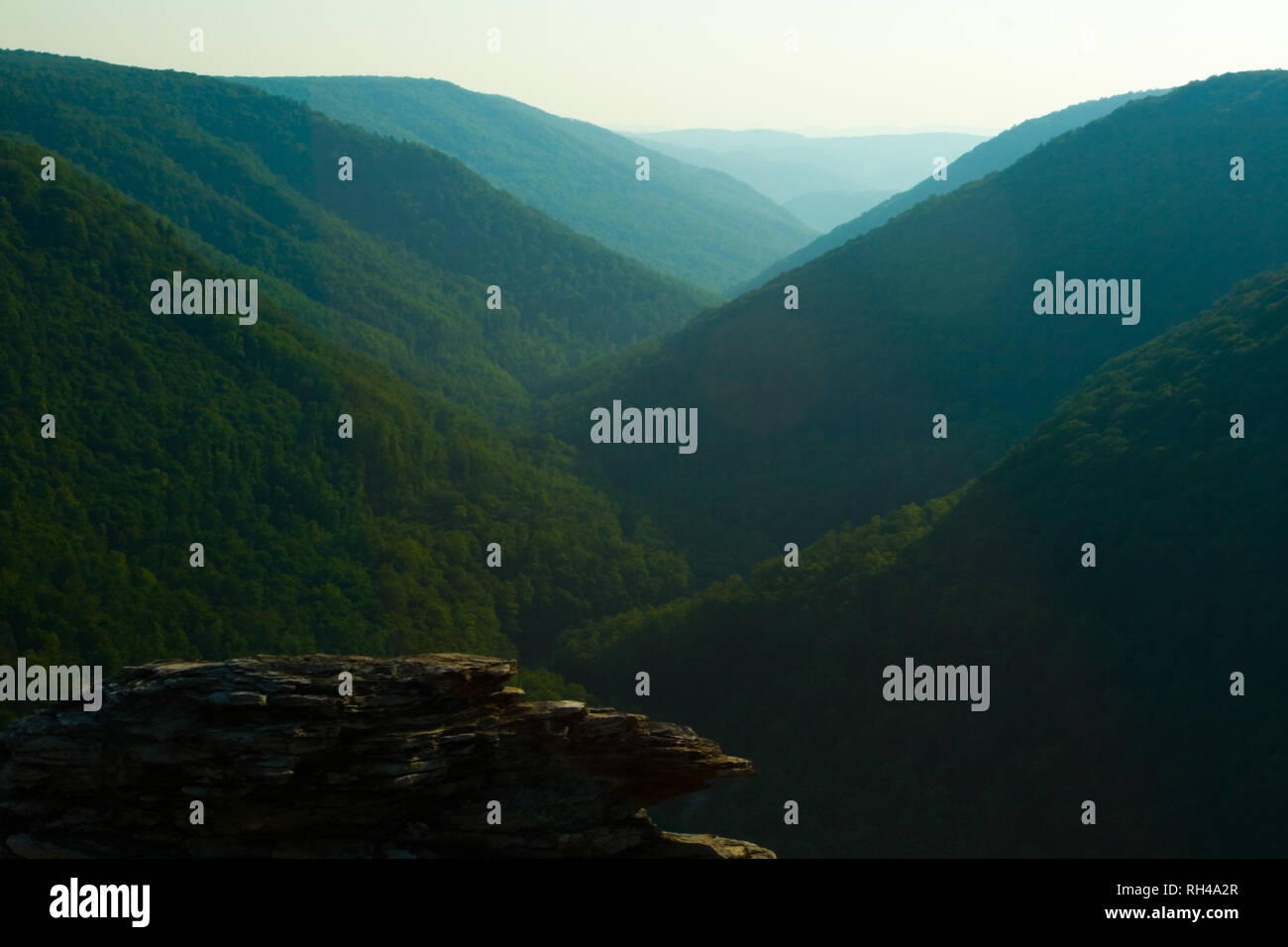 Lindy west hi-res stock photography and images - Alamy