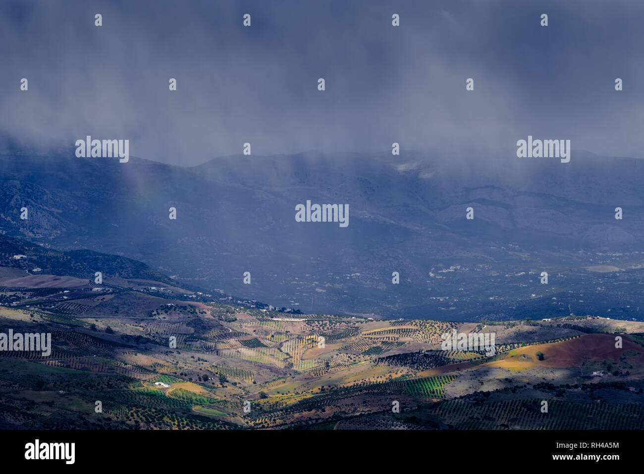 Rain Shower of the plains of Axarquia. Malaga, Andalucia, Spain. 28 ...