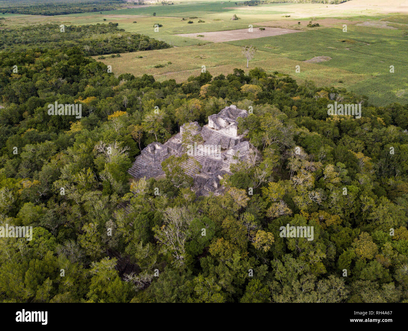 Aerial view over Mayan ruins of Dzibanche and Kinichna in Mexico Stock ...