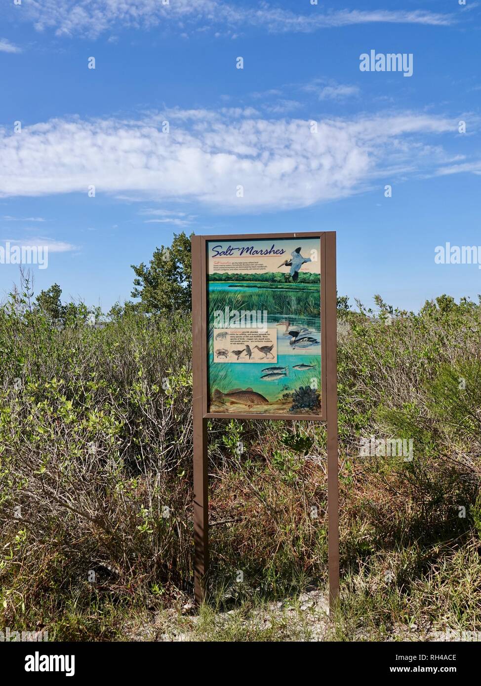 Sign with descriptions of fish and animals, edge of the salt marsh ...