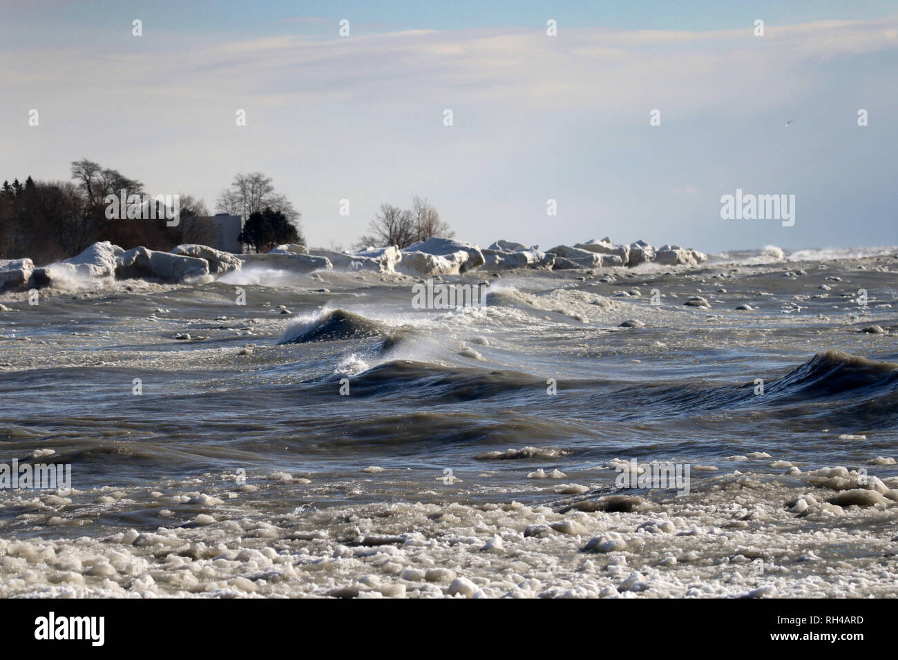 Wind storm in winter at lake Ontario Stock Photo - Alamy