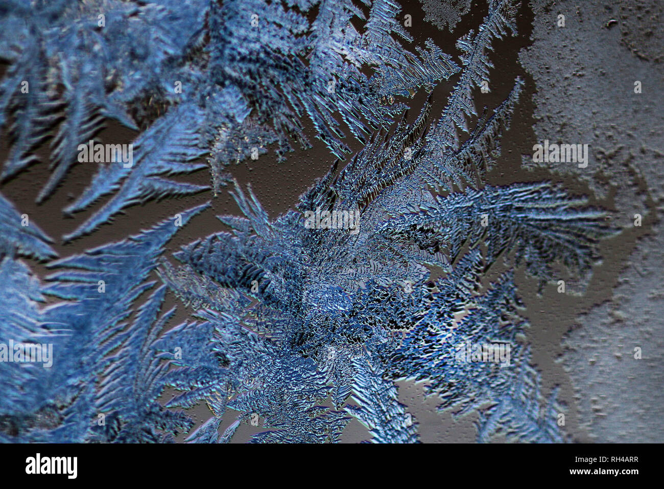 Crystalized frost hi-res stock photography and images - Alamy