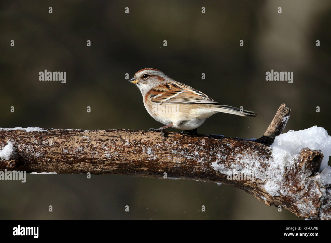 Songs for survival hi-res stock photography and images - Alamy