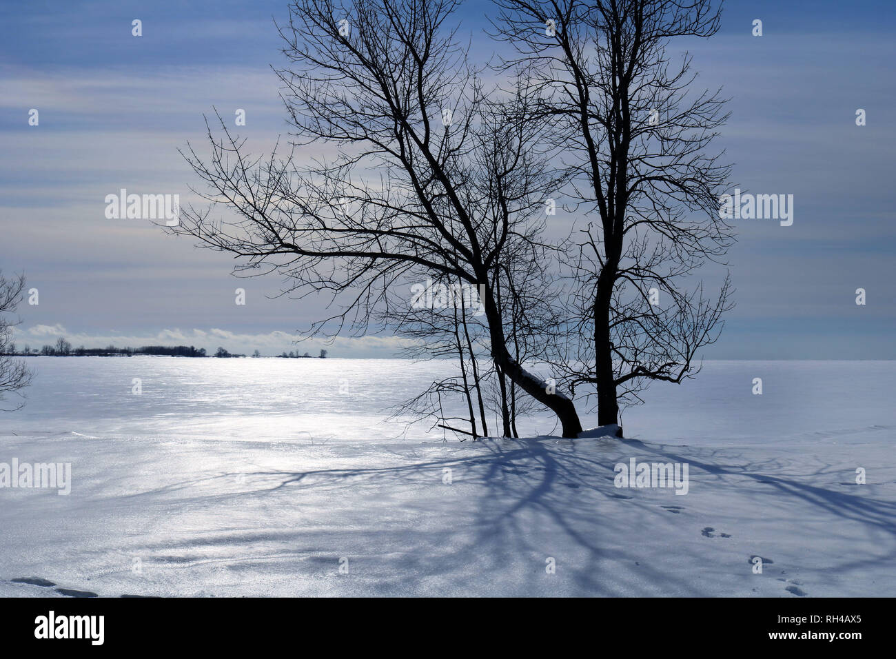 Winter Scenic at Amherst Island Ontario Stock Photo - Alamy