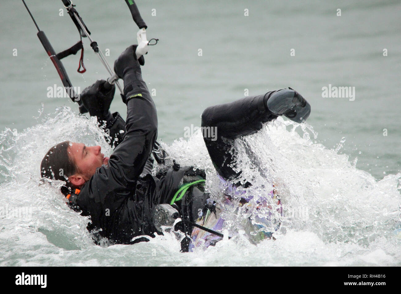Goose harness hi-res stock photography and images - Alamy