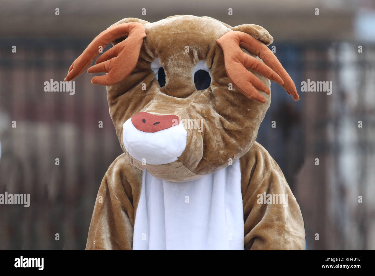 Giant mascot head hi-res stock photography and images - Alamy