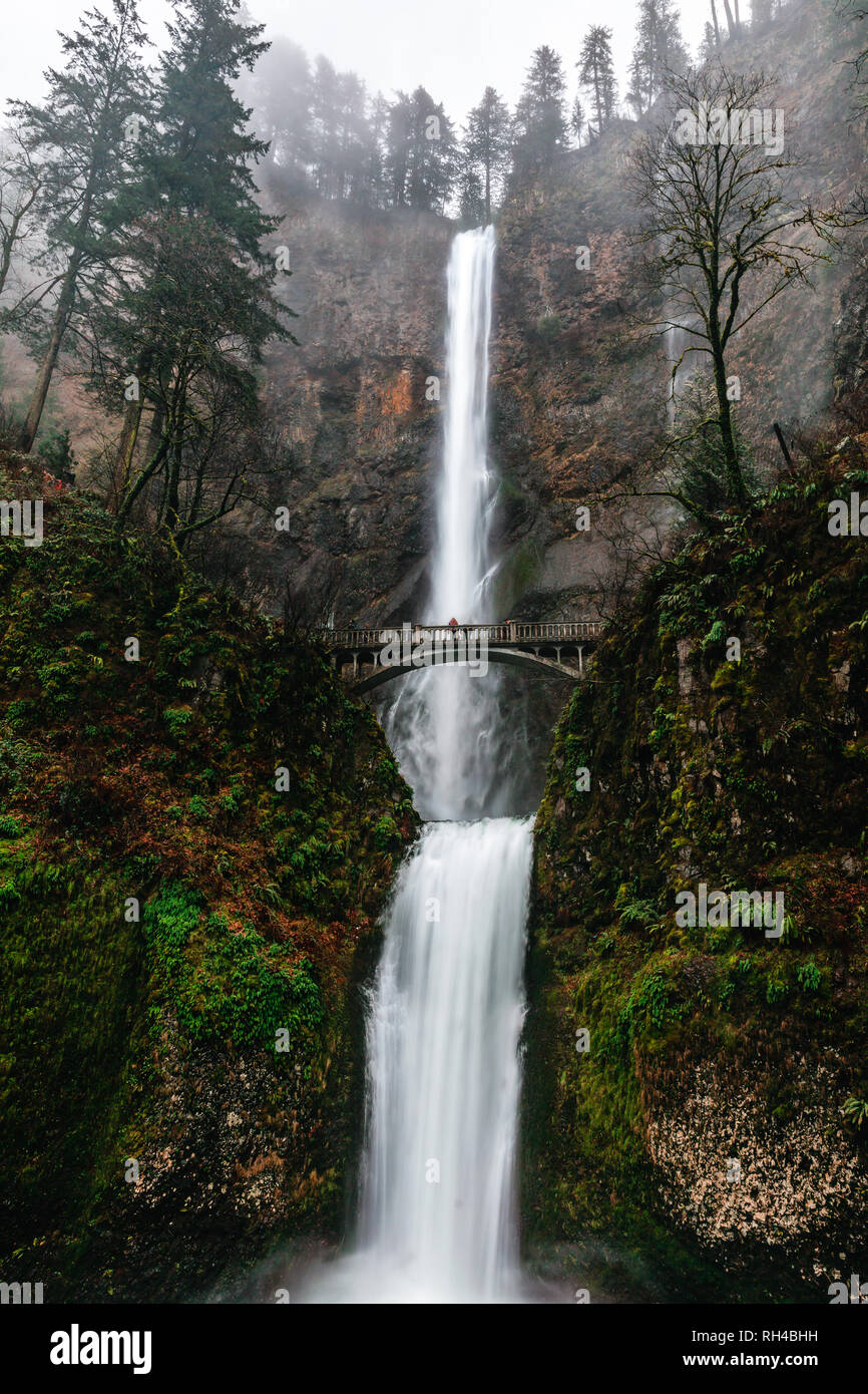 Multnomah falls wildlife hi-res stock photography and images - Alamy