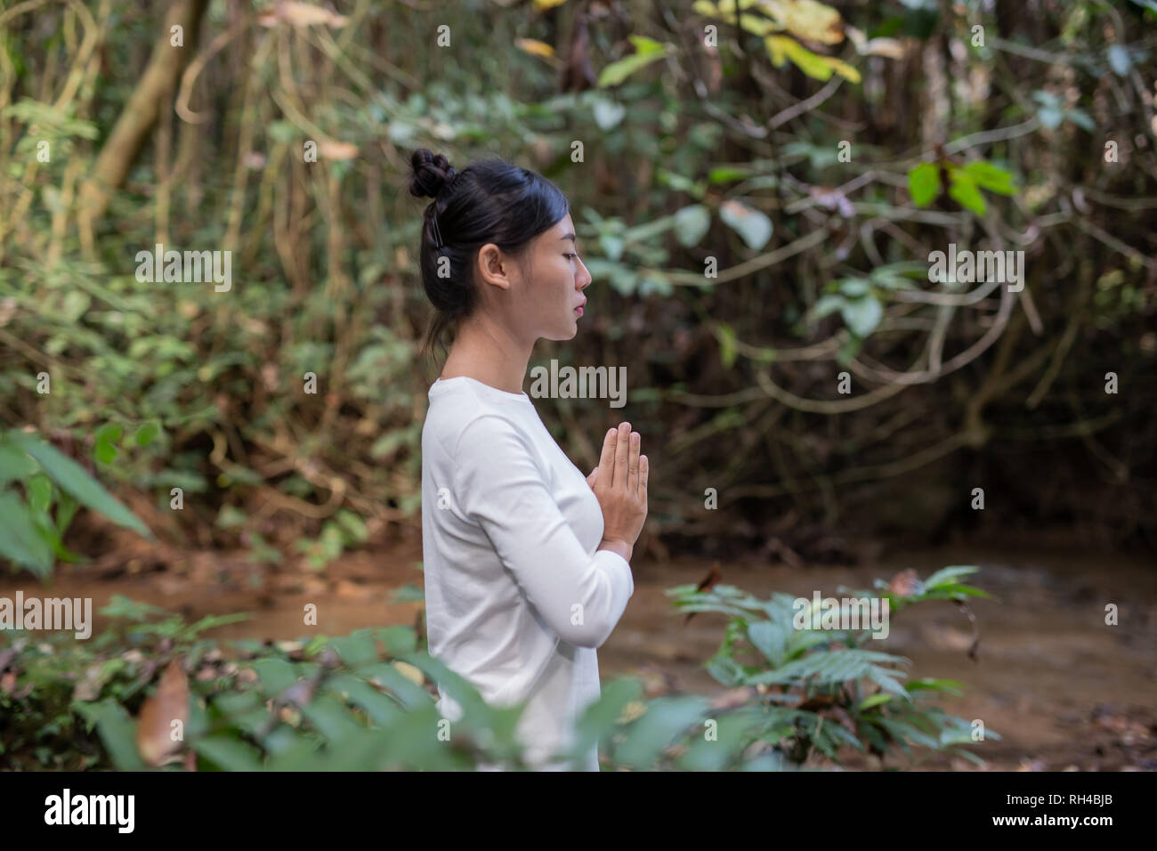 Beautiful girls are playing yoga at the park. Among the natural ...