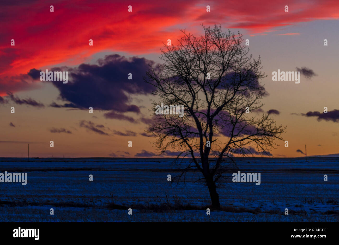 Beautiful prairies hi-res stock photography and images - Alamy
