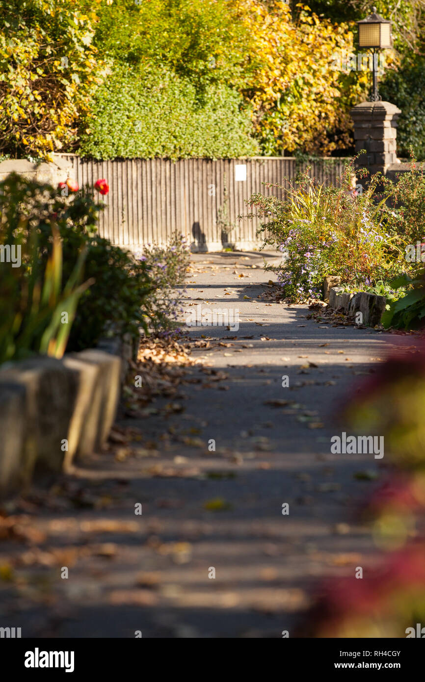 Stone pathway in English church yard in summertime with dappled ...