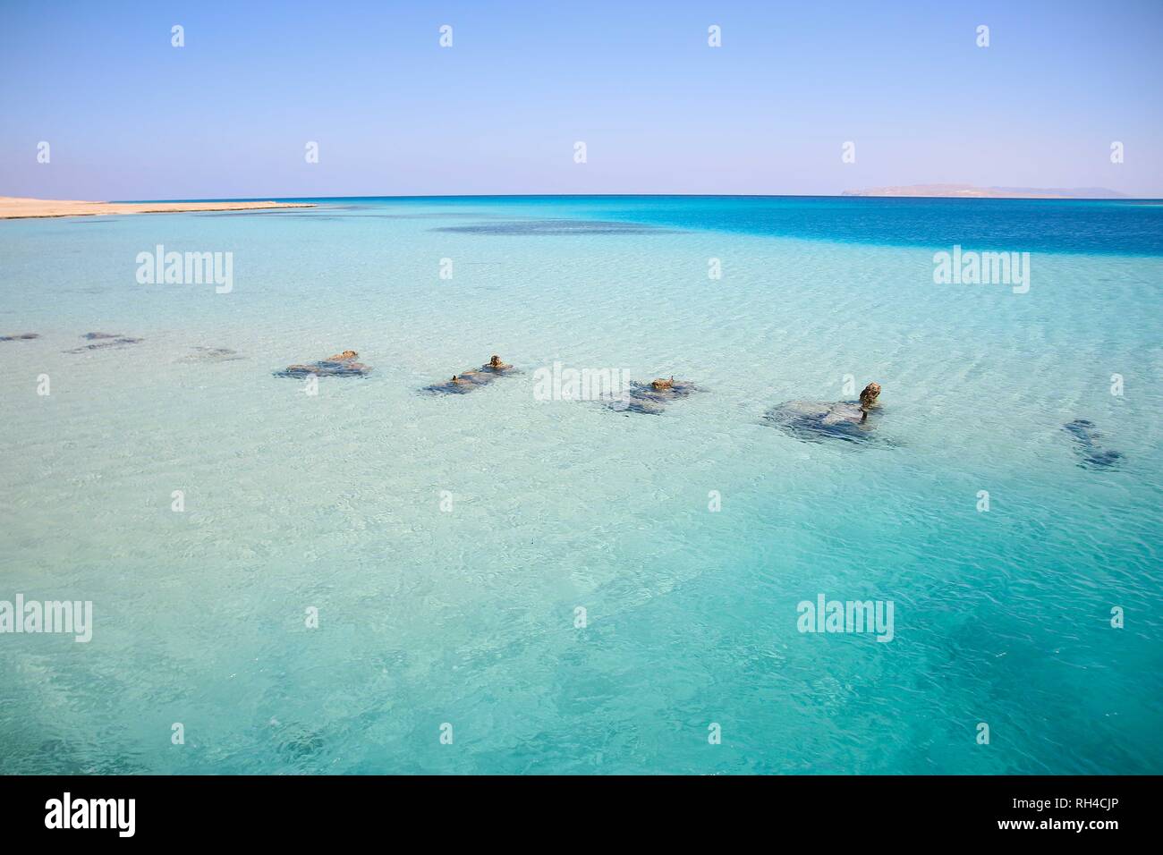 Red sea experience hi-res stock photography and images - Alamy