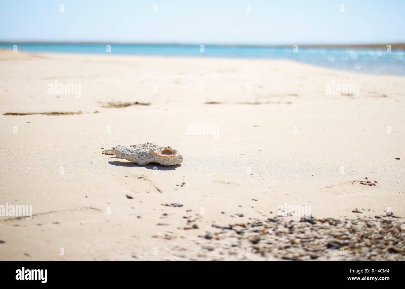 Egyptian beach hi-res stock photography and images - Alamy