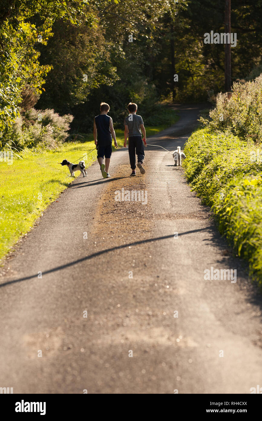 Two boys walking dog hi-res stock photography and images - Alamy