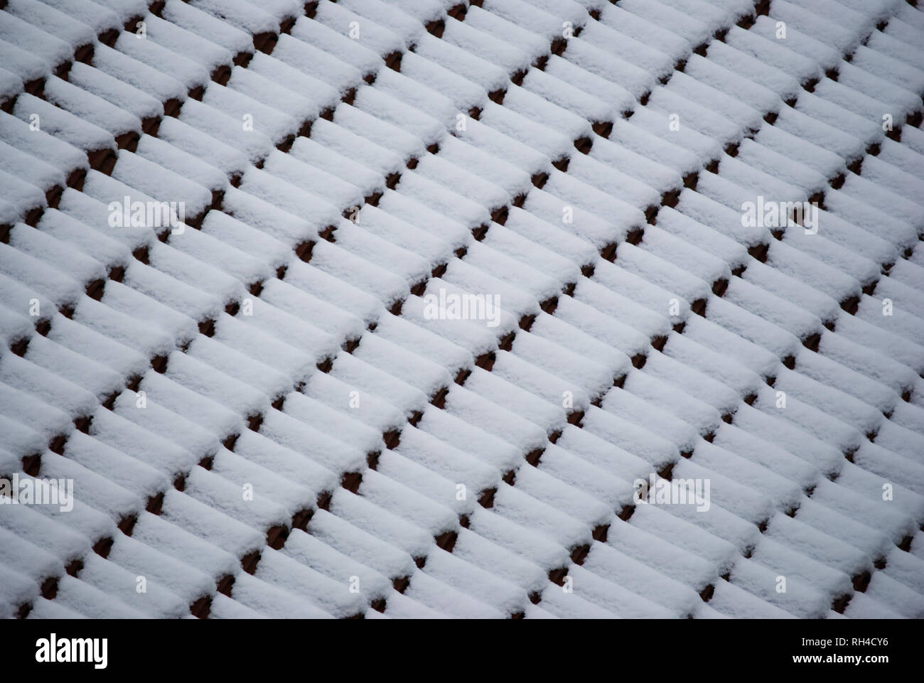 Rooftop scene roof covered hi-res stock photography and images - Alamy