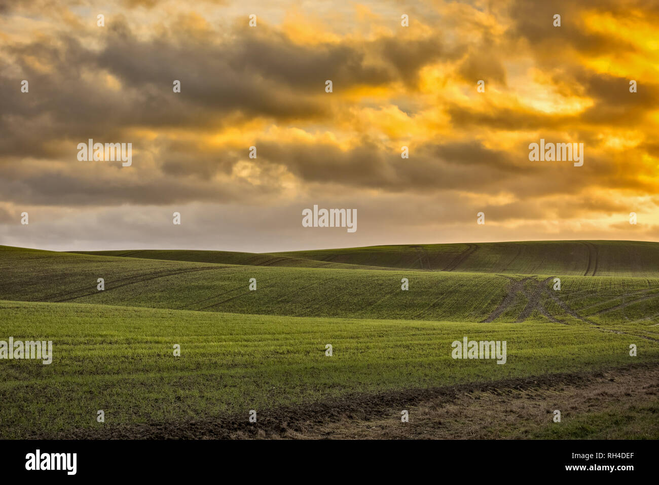 Nottinghamshire countryside hi-res stock photography and images - Alamy