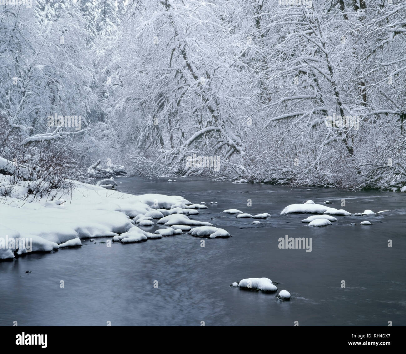 Silver falls state park winter hi-res stock photography and images - Alamy