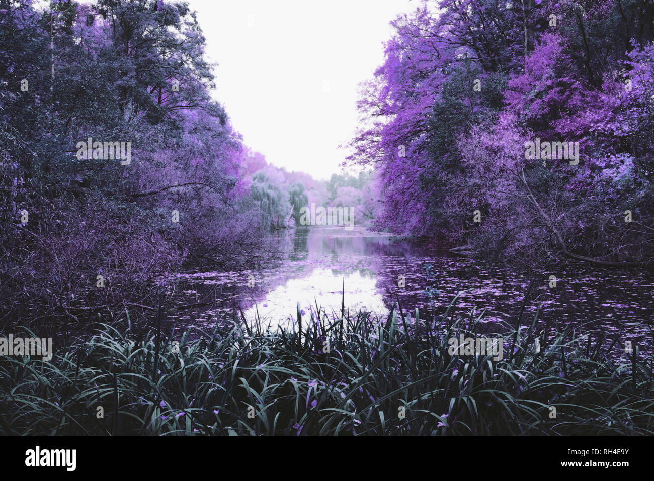 Beauty of berlin hi-res stock photography and images - Alamy