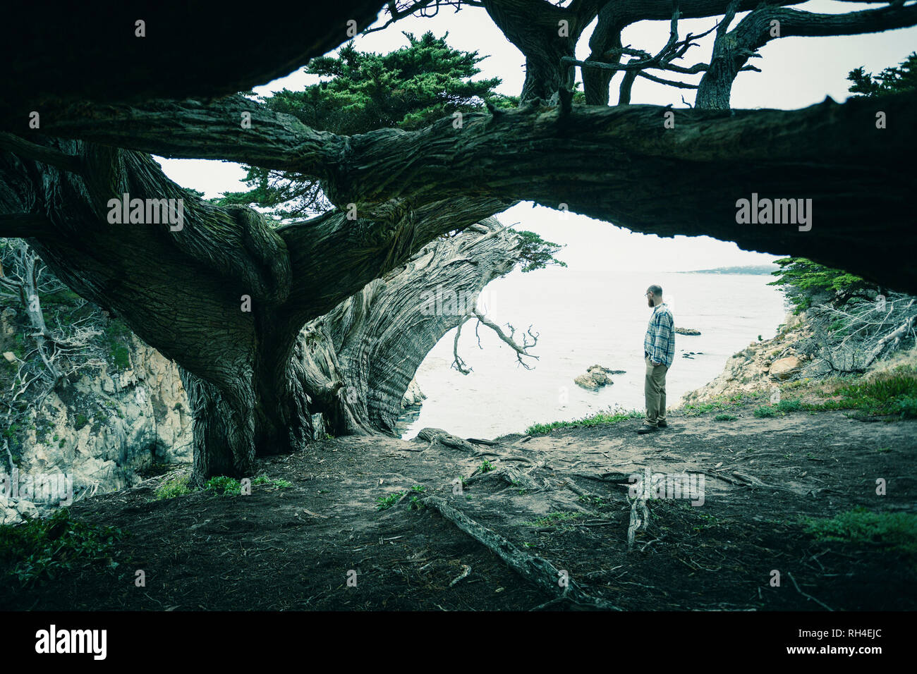 30 years of freedom hi-res stock photography and images - Alamy