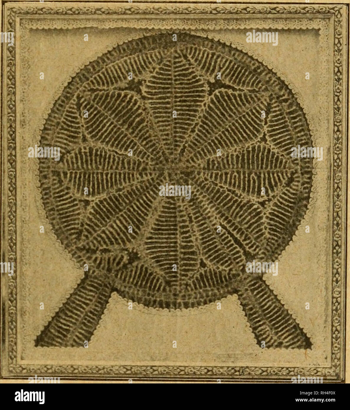 . British bee journal & bee-keepers adviser. Bees. May 9, 1901.] THE ...