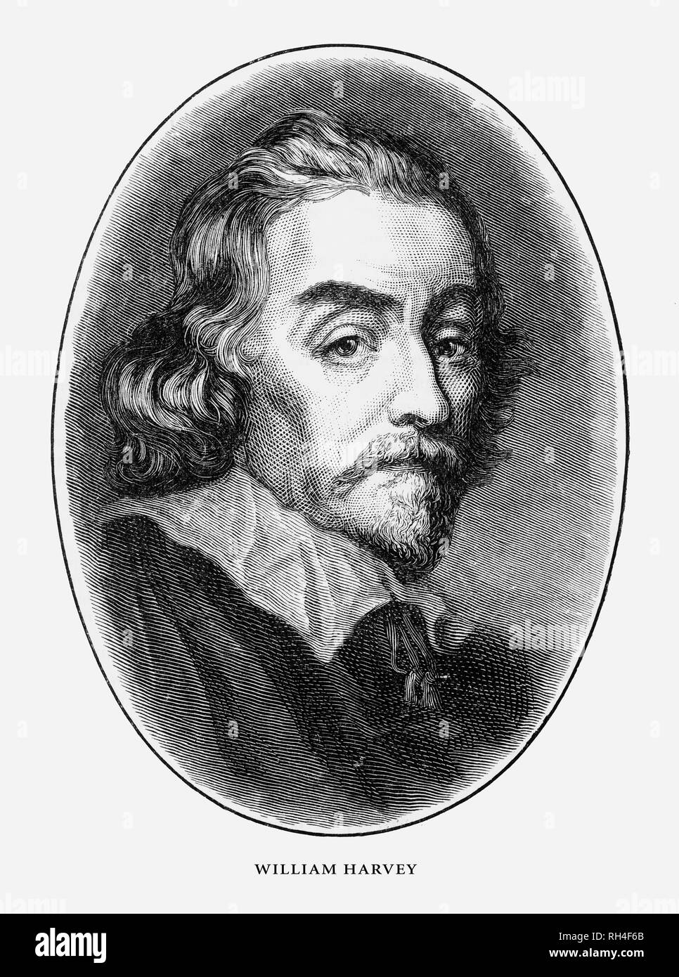 William Harvey, English Victorian Engraving, 1887 Stock Photo - Alamy