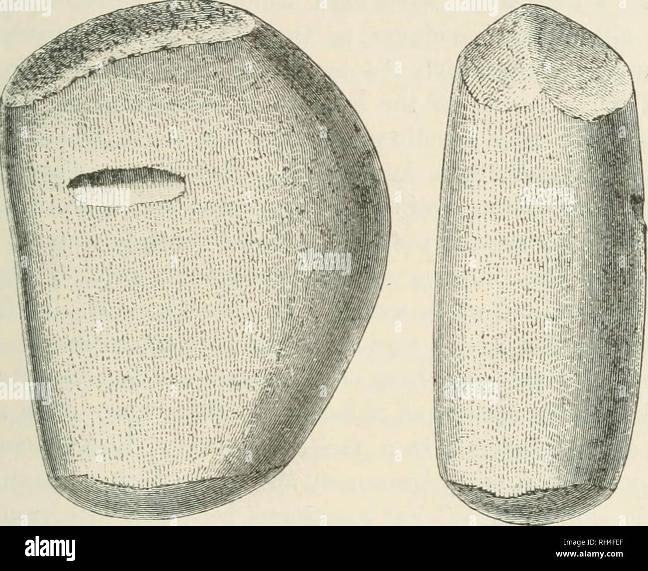 Quern stones hi-res stock photography and images - Alamy